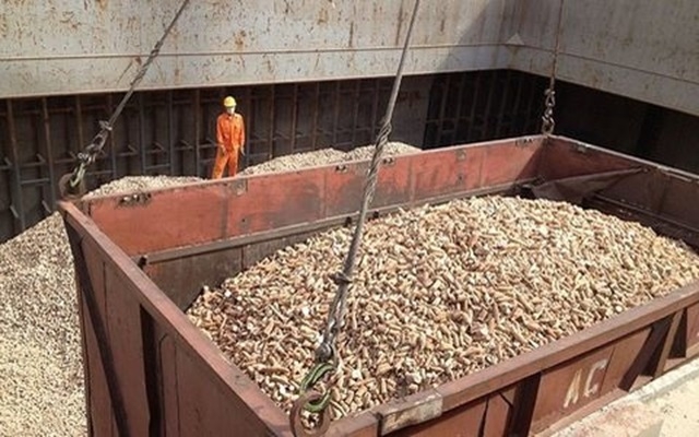 Việt Nam sở hữu 'vựa lúa dưới lòng đất' được Nhật Bản đổ tiền thu mua ...